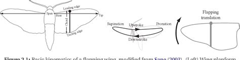 Figure 11 From Fluid Structure Interaction Modelling Of Flapping Wings