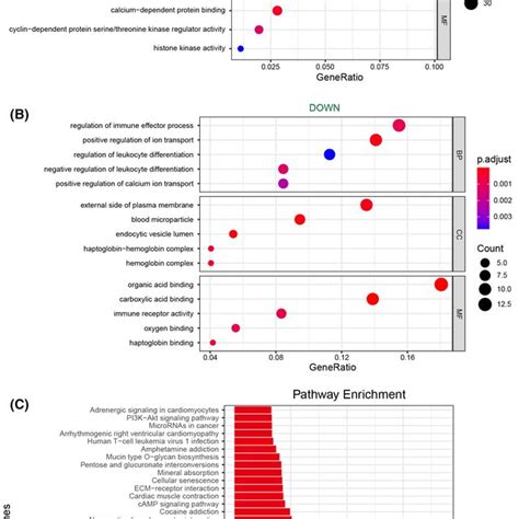 Gene Ontology Go And Kyoto Encyclopedia Of Genes And Genomes Kegg