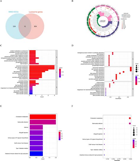 Identification Of Lysosome Related Hub Genes As Potential Biomarkers And Immune Infiltrations Of