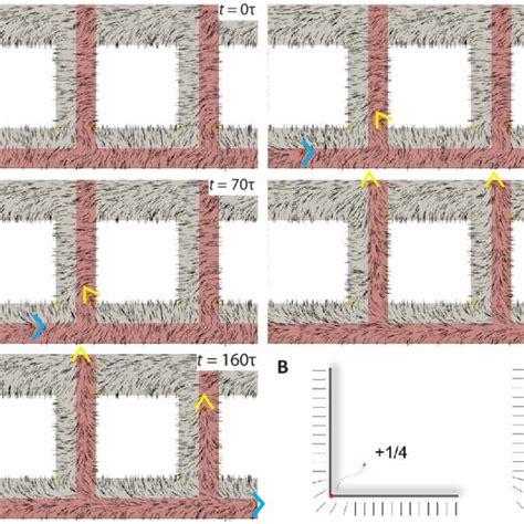 Defect Amplification A Sequential Snapshots Of A 12 Defect Marked Download Scientific