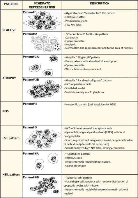 Ascus