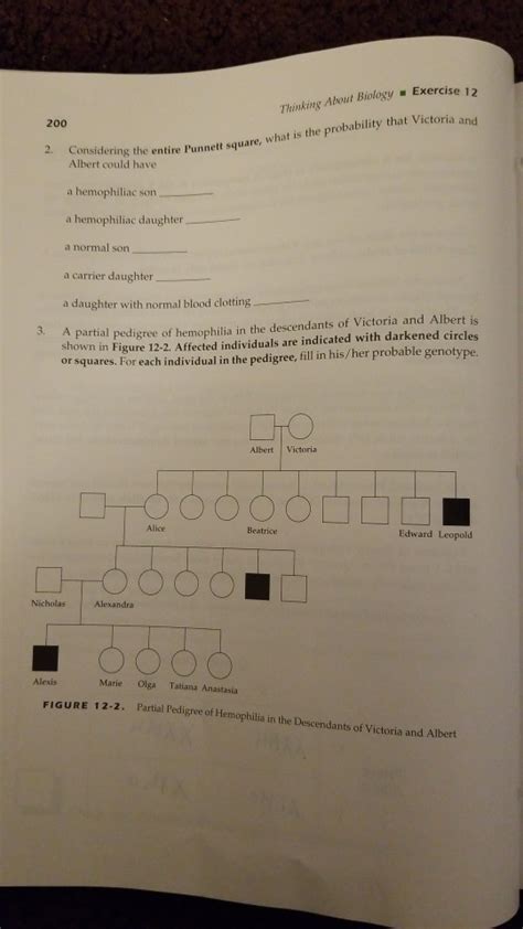 Solved Exercise 12 Human Genetics Activity 2 In Humans The