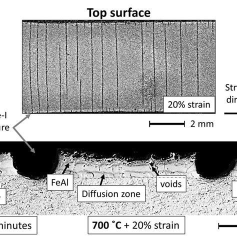 A Top And B Cross Section Optical Inspections Of The Alsi Coating Download Scientific