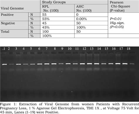 Percentage Of Viral Genome Extraction Of Women Patients With Rpl And