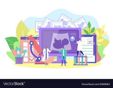 Pregnancy Fertility Concept Royalty Free Vector Image