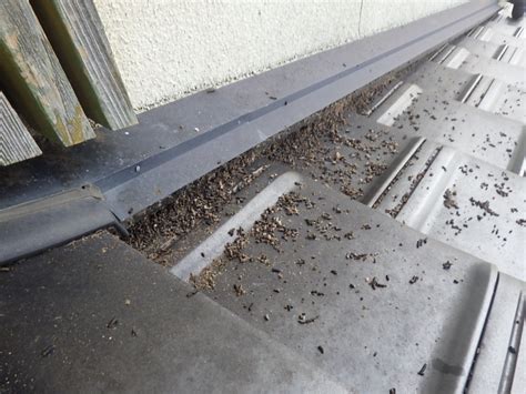 熊本県 宇城市 一般住宅 コウモリ対策駆除工事 熊本で害虫駆除を依頼するなら経験豊富なスタッフが揃う「つなぎ」