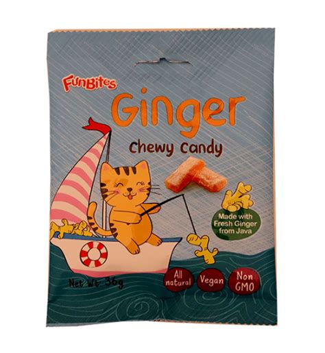 Holdbart Funbites Ginger Candy