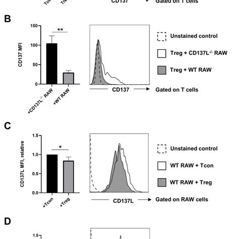 Pdf Regulatory T Cells Inhibit T Cell Activity By Downregulating Cd137 Ligand Via Cd137
