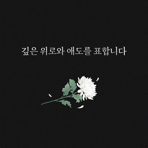 Kb국민은행 ⭐이달의 스타⭐ 주민등록증 모바일 확인서비스📱 신분증 깜빡한 경우 있으신가요 이젠 Kb스타뱅킹 주민등록증