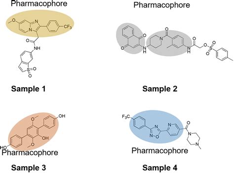 Frontiers Discovery Of Potent Stat3 Inhibitors Using Structure Based