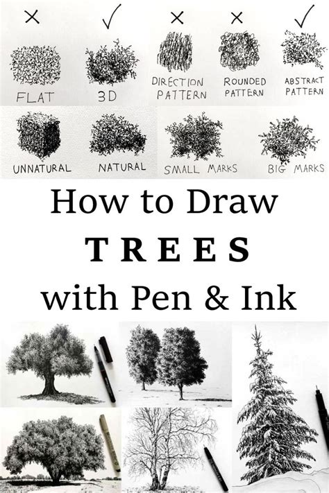 Master The Art Of Drawing Trees A Step By Step Guide