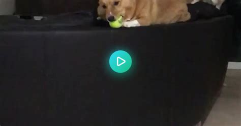 Well Its Not Gonna Pick Itself Up Album On Imgur
