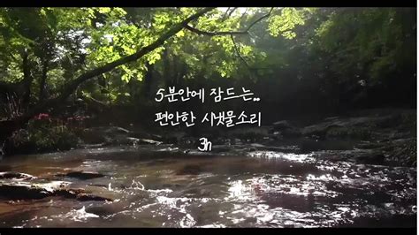 5분안에 잠드는 편안한 시냇물소리 3시간 Asmr 수면 스트레스 해소 집중 공부 휴식 명상 아기 재우기 백색소음