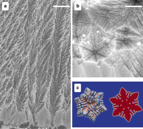 Dendrite Orientation Transition In Al Sm Alloys A A Columnar
