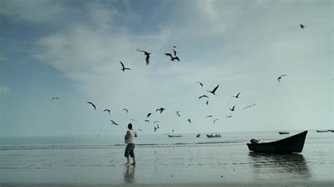 Pescador 2011 — The Movie Database Tmdb