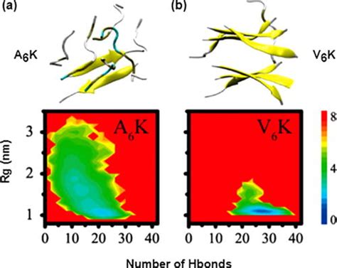 Self Assembling Peptide Biomaterials Insights From Spontaneous And