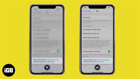How To Make Full Screen Siri On IPhone IGeeksBlog