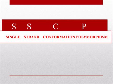 Rflp Rapd Aflp Sts Scar Sscp And Qtl Ppt