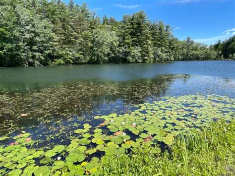 10 Best Trails And Hikes In Holyoke Alltrails