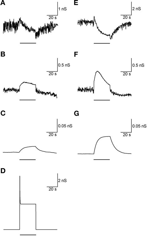 Synaptic Conductance During Lfs And Hfs Ad Synaptic Conductance
