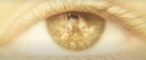 Jias Eye Reflection Mothra By Mnstrfrc On Deviantart