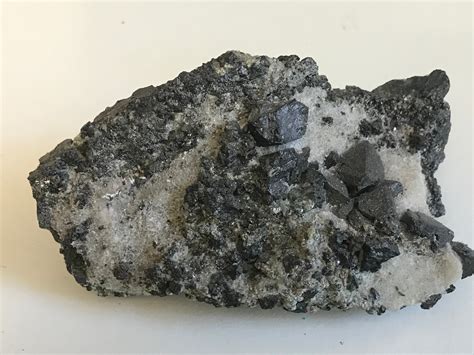 Magnetite Crystal And Fossils