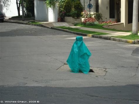 La Especie Urbana ¿mujer Con Burka