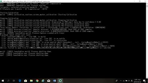 Cannot Work After Calibration Pupil Capture V111 Windows 10