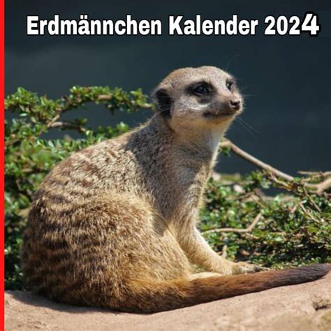Kalender 2024 Erdmännchen Glori Kalindi