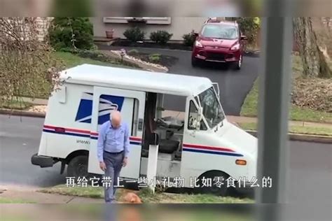 金毛每天都约会“外人”还要跟回家，主人不爽：你眼里还有我吗？外人金毛主人