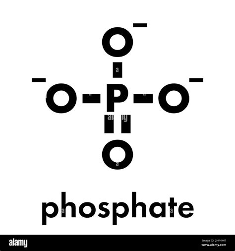 Phosphate Anion Chemical Structure Skeletal Formula Stock Vector