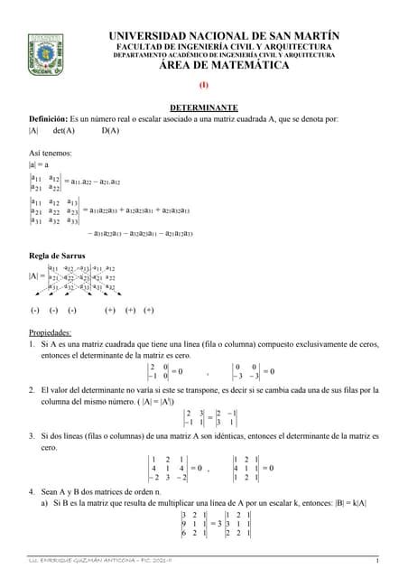 2 Determinantes Pdf