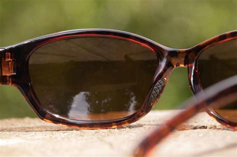 Suncloud Duet Polarized Sunglasses Womens Rei Co Op