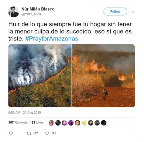 Conoce Las Fotos Falsas Del Incendio En El Amazonas — Rockandpop