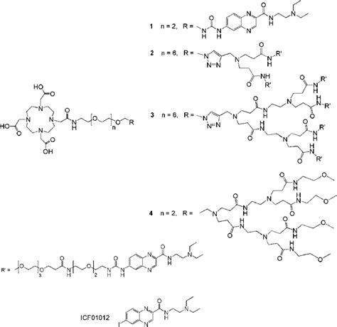 Chemical Structures Of Linear 1 And Dendritic 2 3 Probes As Well
