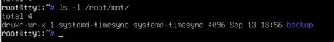 backup and image restoration using dd introserv