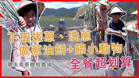 農夫青蔥體驗農場 下田拔蔥，洗蔥，做蔥油餅，三星蔥導覽，還可以餵小動物，全餐居然只要三百元超划算 宜蘭景點 親子景點 Youtube