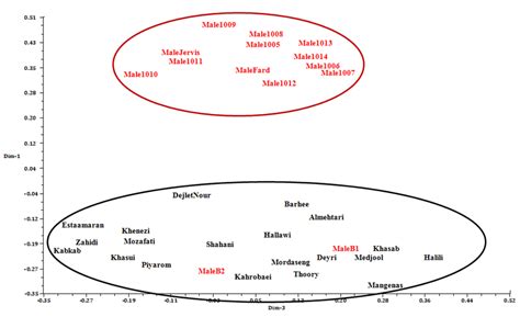 Dimensional Equations Dim 1 Dim 3 And Dim 3 Dim 1 Derived From PCA Download Scientific Diagram