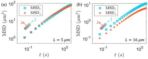 Anisotropic Diffusion Of Elongated Particles In Active Coherent Flows