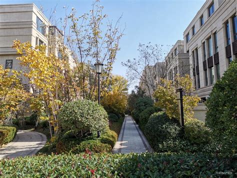 鸿园梧桐苑咋样鸿园梧桐苑容积率鸿园梧桐苑有暖气吗第21页大山谷图库