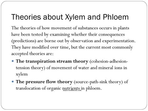 Maintaining A Balance Topic 14 Transport Of Nutrients In Plants Ppt