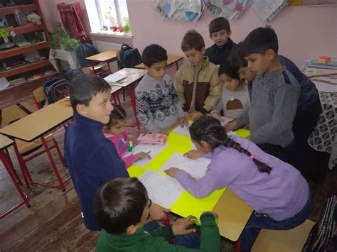 პროექტი ორგანიზმების სასიცოცხლო ციკლი კედლის გაზეთი