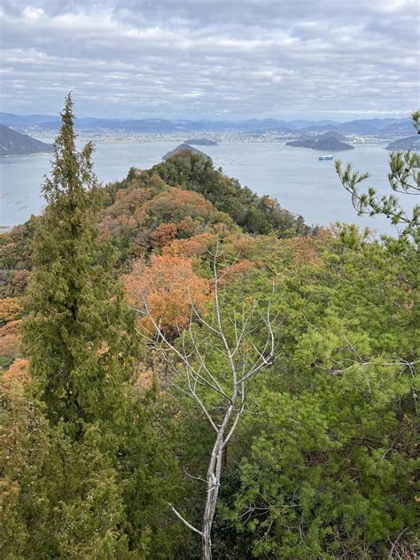 クマン岳・古鷹山 なおしてぃさんの古鷹山・陀峯山・江田島・能美島の活動データ Yamap ヤマップ