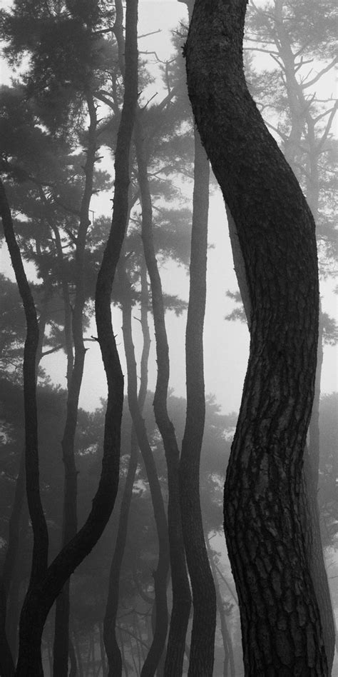 Bae Bien U Snm1a 052v Bien U Bae Photography Landscape Nature