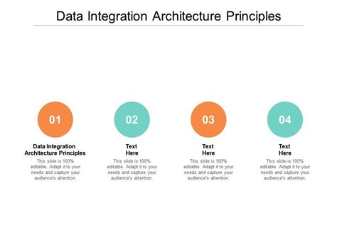 Data Integration Architecture Principles Ppt Powerpoint Presentation Infographic Template Design