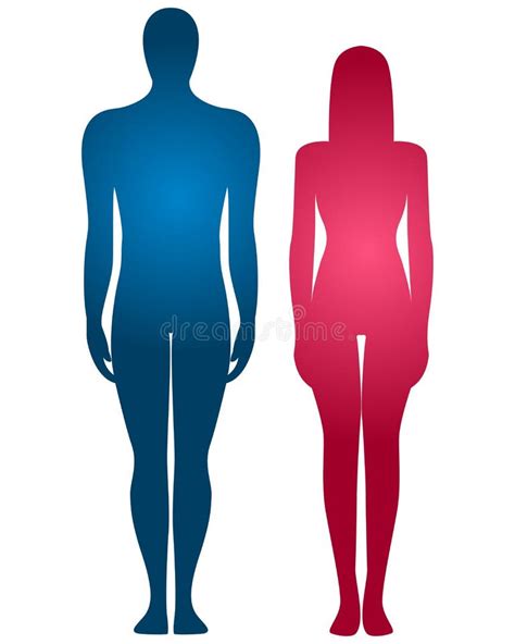 Human Silhouette Stock Illustrations 526 532 Human Silhouette Stock