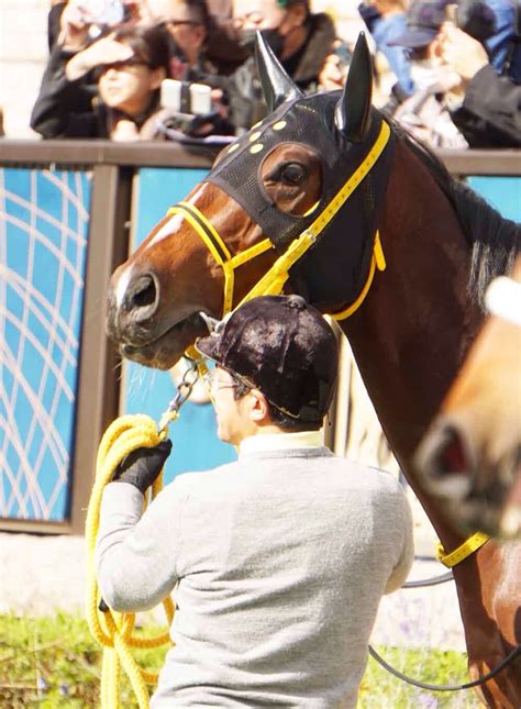 11月18日東京競馬⭐︎2歳新馬⭐︎アルシャリフ 公式：黒澤ひかりのキラキラ日記～magic Kiss Lovers Only～