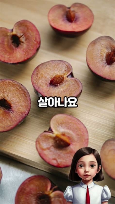 Shorts 여름과일수박복숭아체리포도망고블루베리자두메론파인애플키위 Youtube