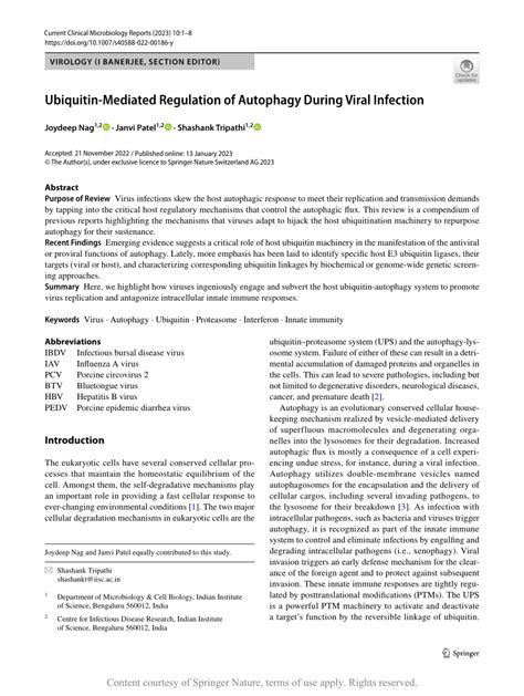 Ubiquitin Mediated Regulation Of Autophagy During Viral Infection