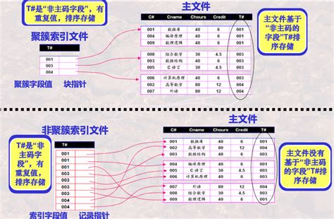 数据库系统 索引辅助索引 主索引 Csdn博客